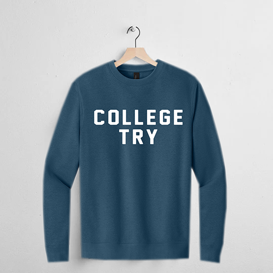 Futurebirds College Try Sweatshirt – Dualtone Music Group