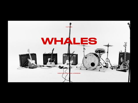 Shadowglow (2xLP) (Red Vinyl) – Dualtone Music Group